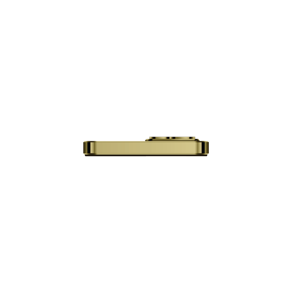 Reeder S23 Pro Max 1 TB Gold